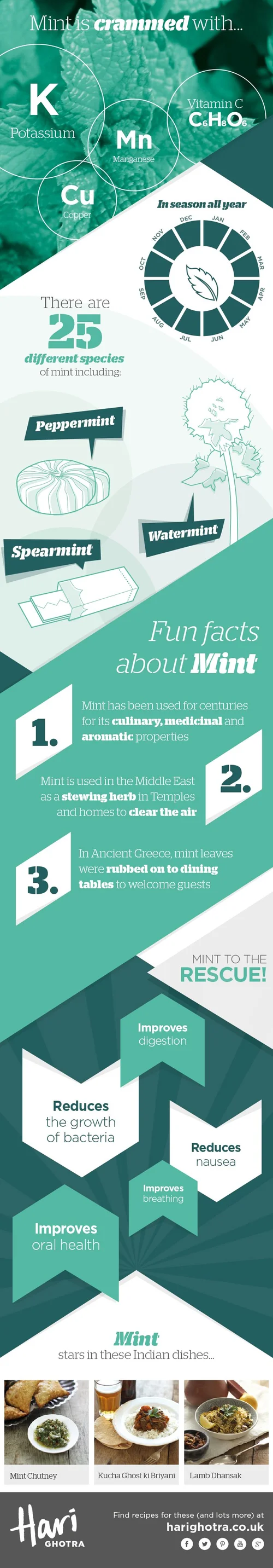 Chef Hari Ghotra's Key Ingredients Infographics — Cool Infographics