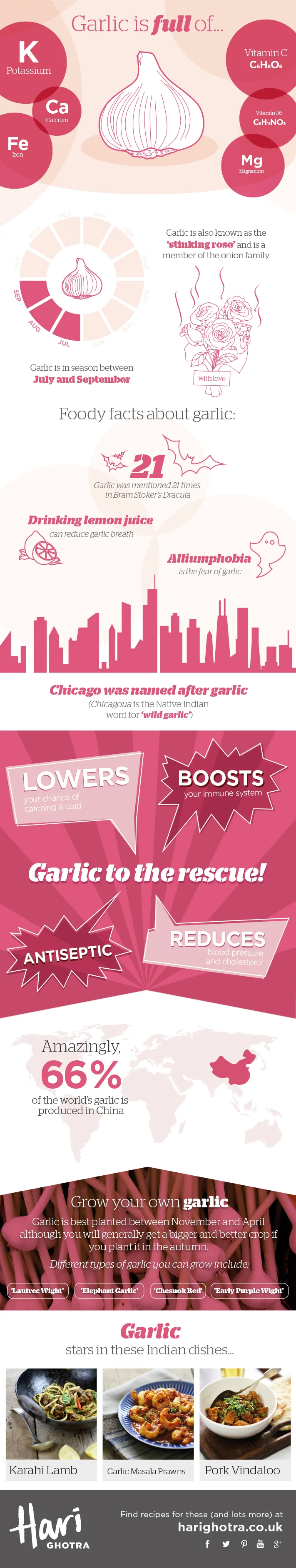 Chef Hari Ghotra's Key Ingredients Infographics — Cool Infographics