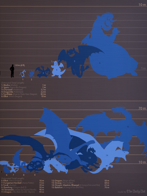 An Illustrated Guide to the Biggest Dragons — Cool Infographics