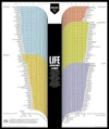 Life Expectancy at Birth — Cool Infographics