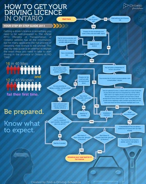 How to Get Your Driving License in Ontario — Cool Infographics