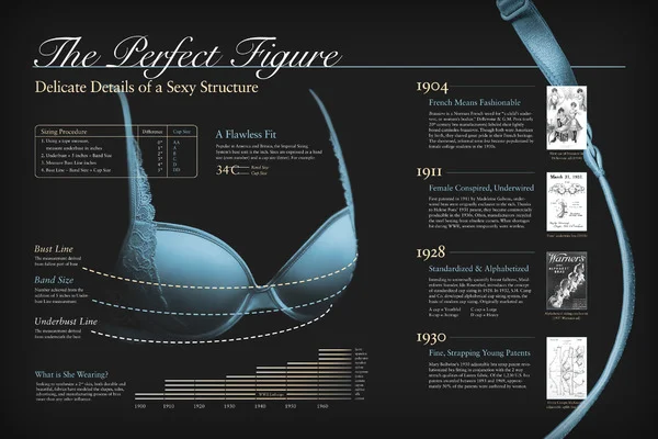An Infographic Evolution of the Bra — Cool Infographics