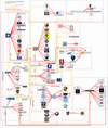 Who Owns the Car Companies? (UPDATE) — Cool Infographics