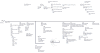 Official Timeline of Star Trek — Cool Infographics