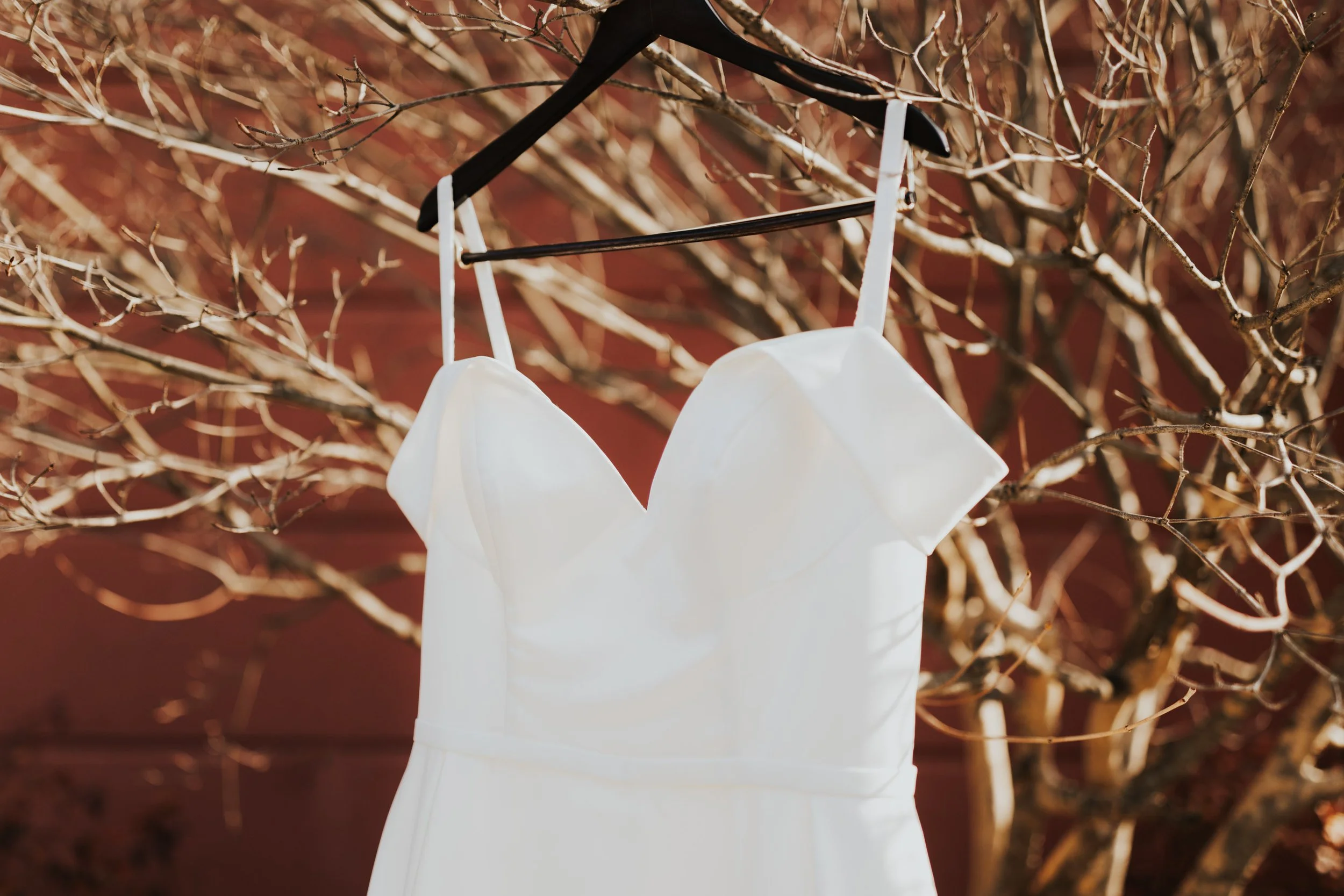 Greg And Sara Wedding