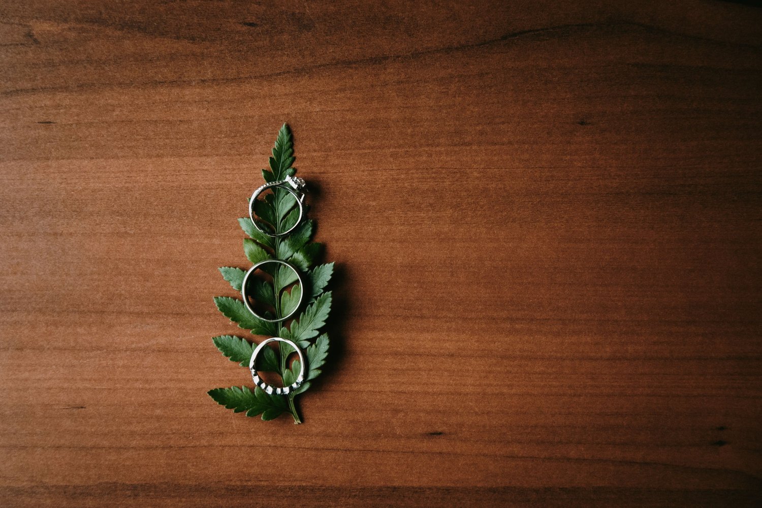 TAYLOR + ELIOT | RAINY BOHO ALTOONA WEDDING — Amy Lynn Photography