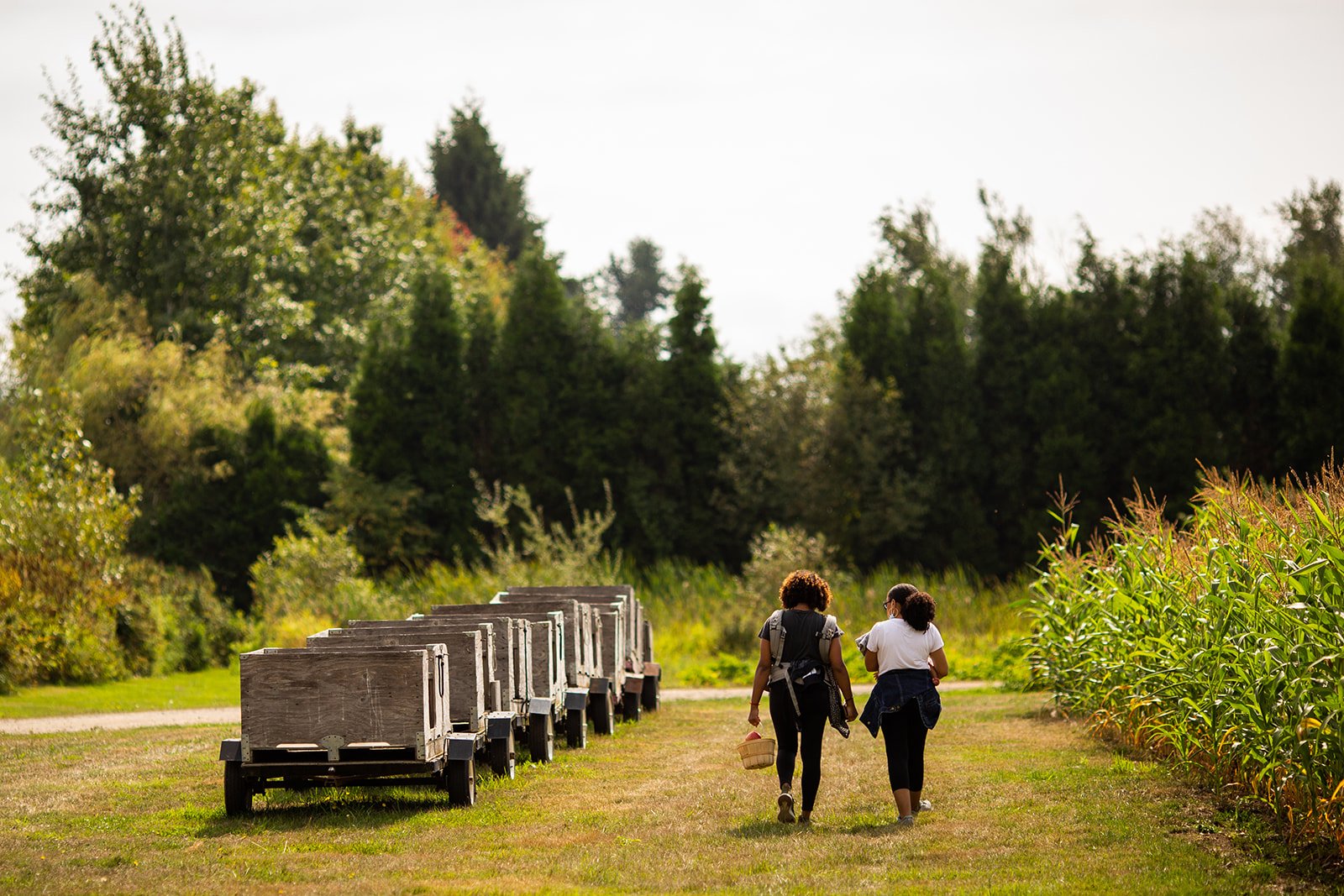 The Orchard — BELLEWOOD FARMS