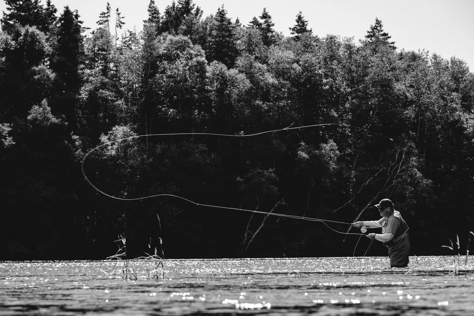 Trophy salmon fishing on the Humber River Western Newfoundland ...