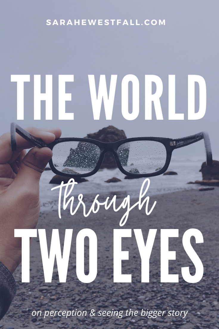 The World through Two Eyes
