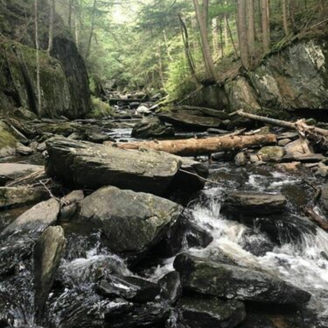 Berkshires Parks and Forests — Downtown Upstairs