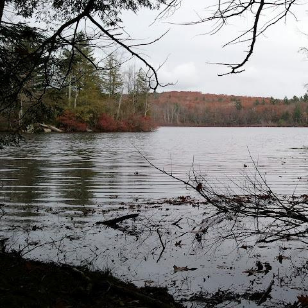 Berkshires Parks and Forests — Downtown Upstairs