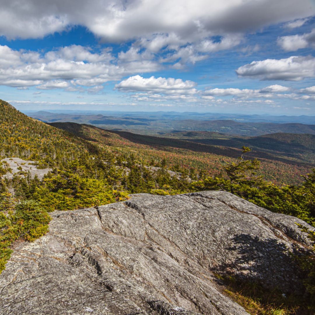 Berkshires Parks and Forests — Downtown Upstairs