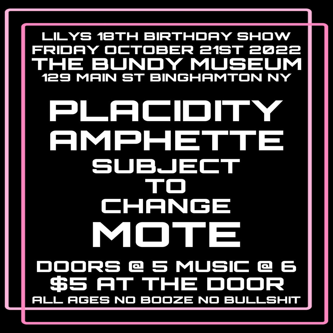 Lilys 18th Birthday Party Show — The Bundy Museum Of History And Art