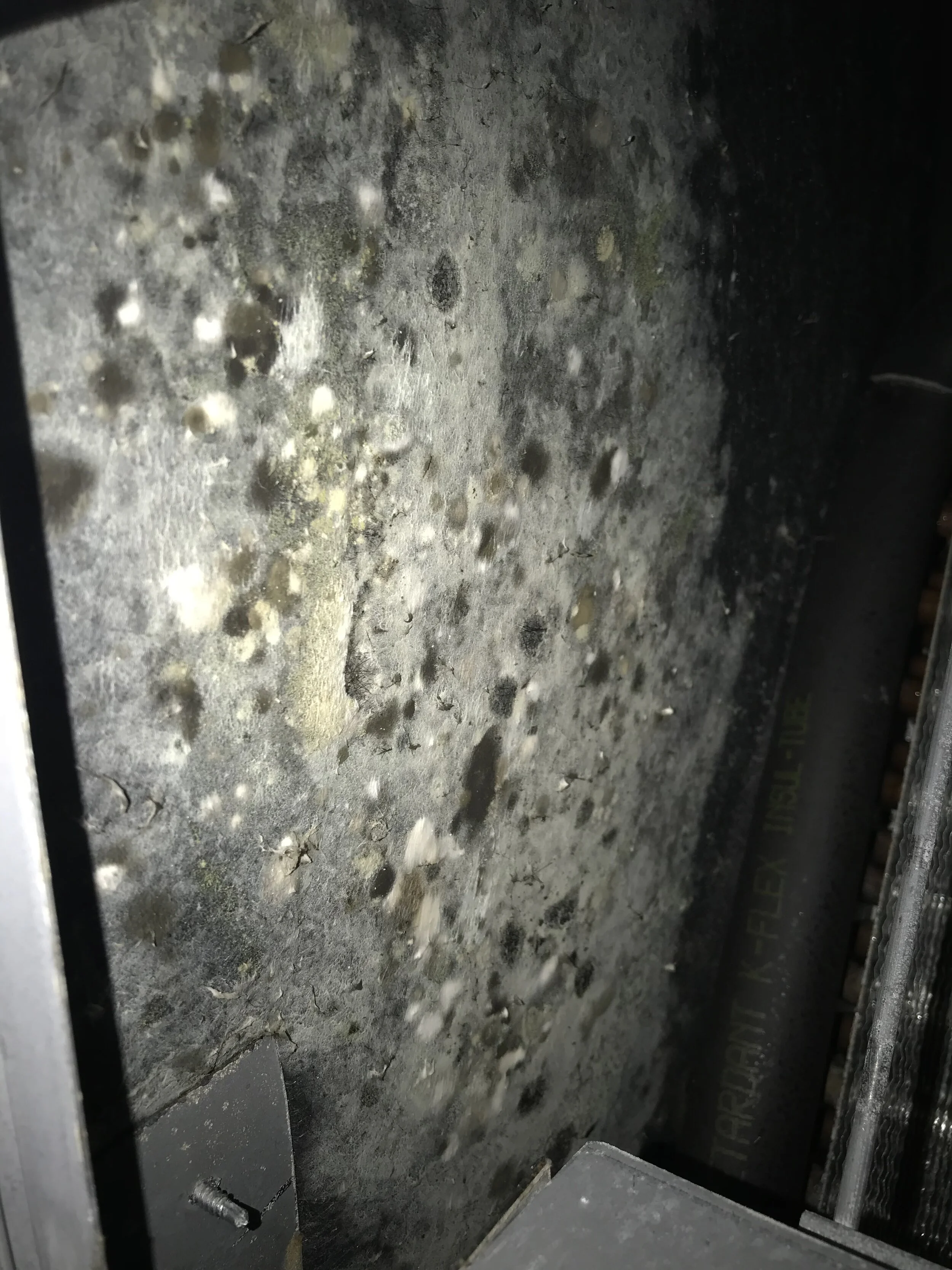 Condo Fan Coil Mold Removal Remediation — JPS CANADA Air Systems INC