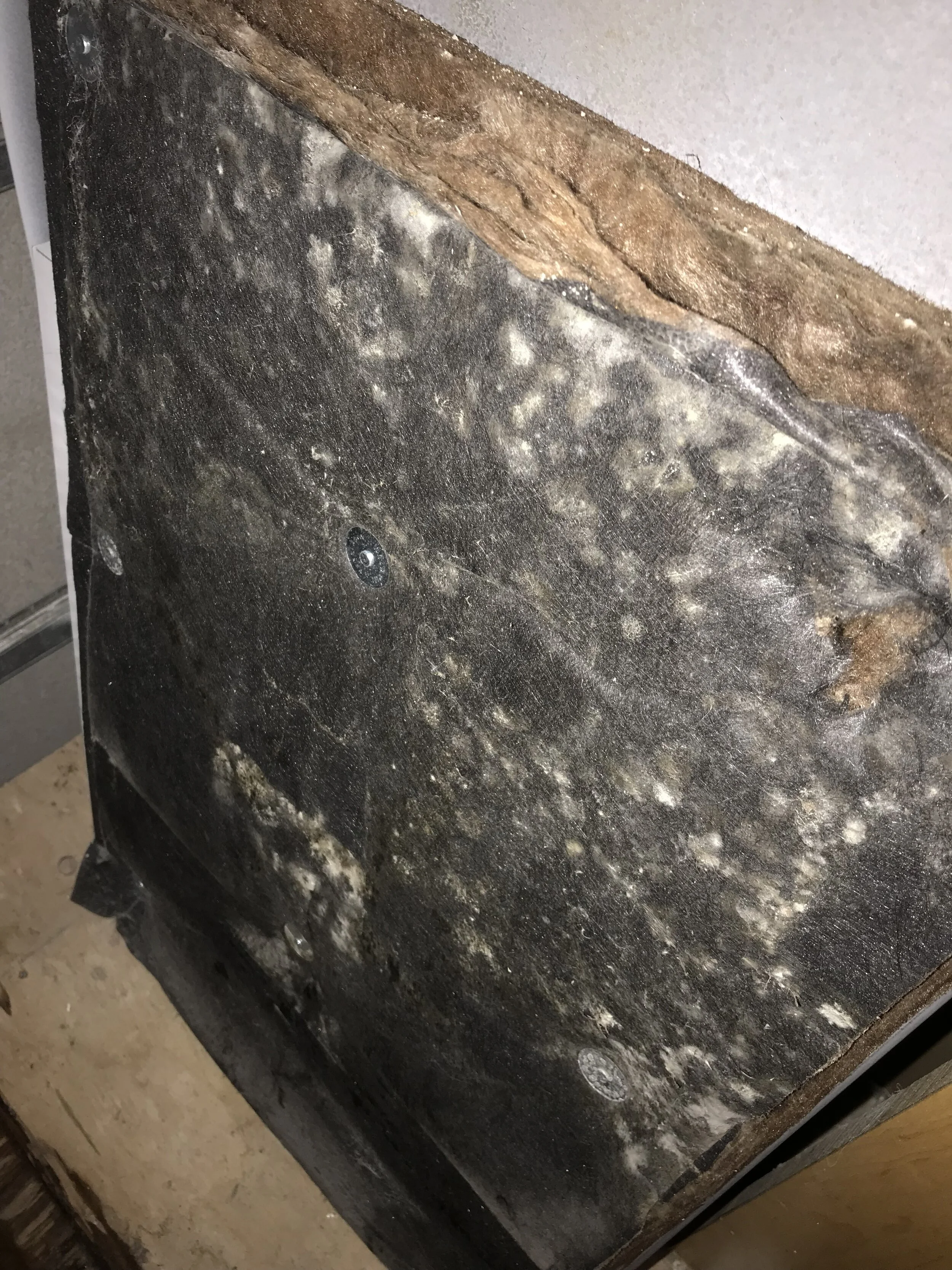 Condo Fan Coil Mold Removal Remediation — JPS CANADA Air Systems INC