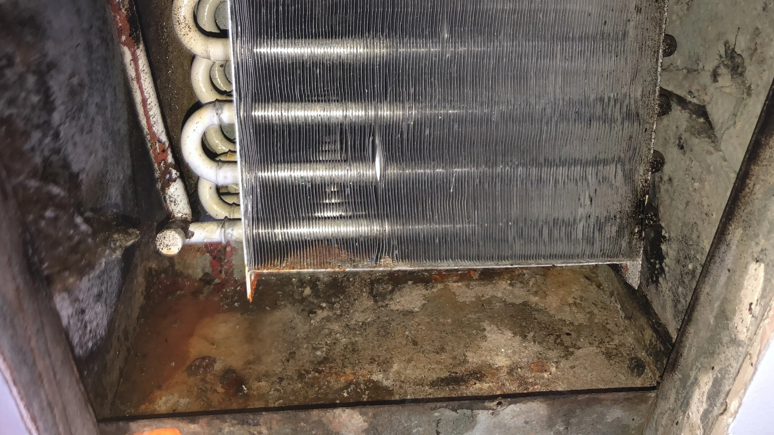 Condo Fan Coil Mold Removal Remediation — JPS CANADA Air Systems INC