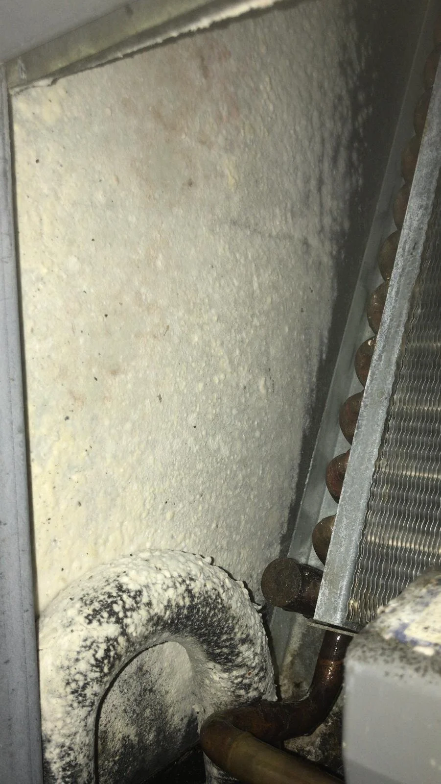 Condo Fan Coil Mold Removal Remediation — JPS CANADA Air Systems INC