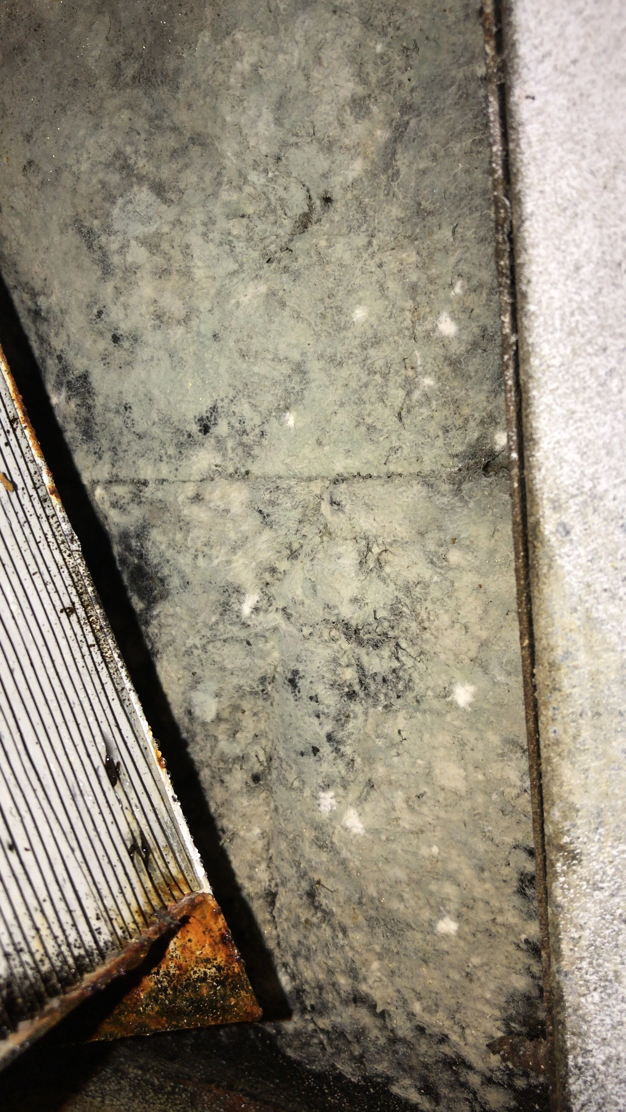 Condo Fan Coil Mold Removal Remediation — JPS CANADA Air Systems INC