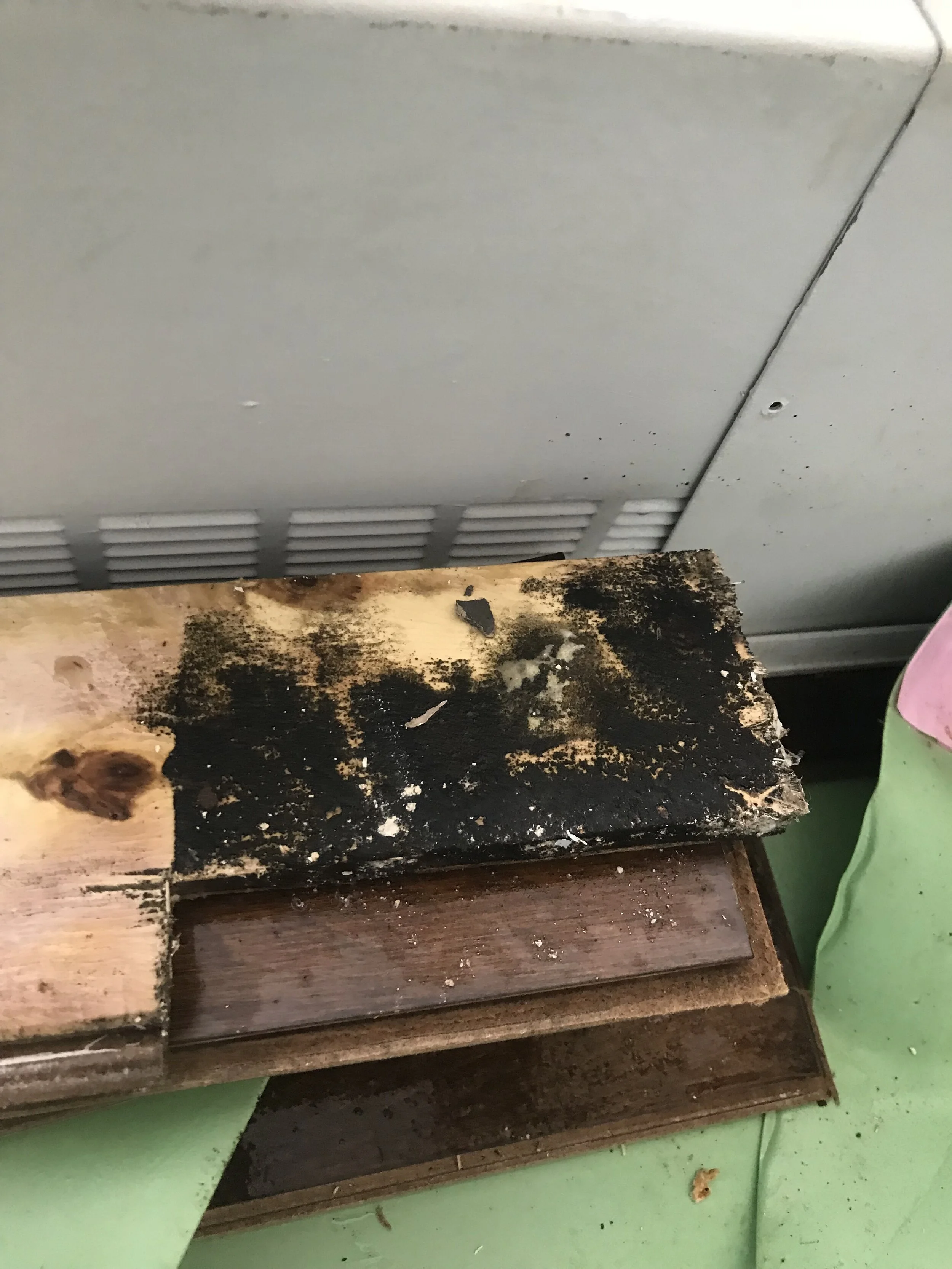 Condo Fan Coil Mold Removal Remediation — JPS CANADA Air Systems INC