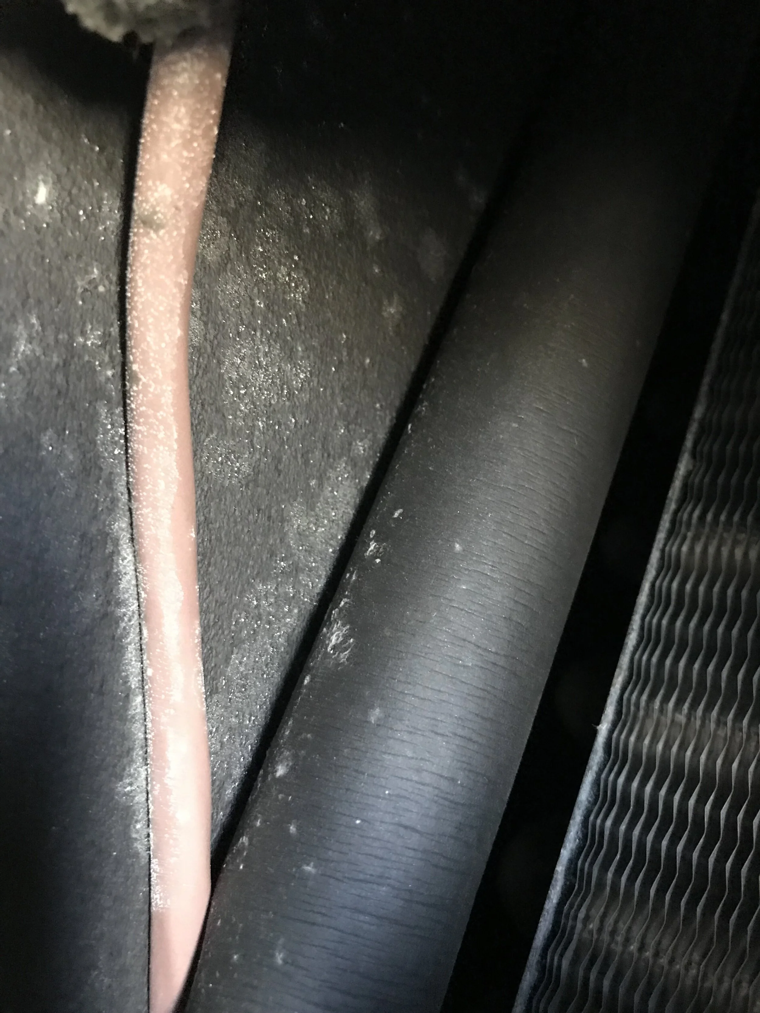 Condo Fan Coil Mold Removal Remediation — JPS CANADA Air Systems INC