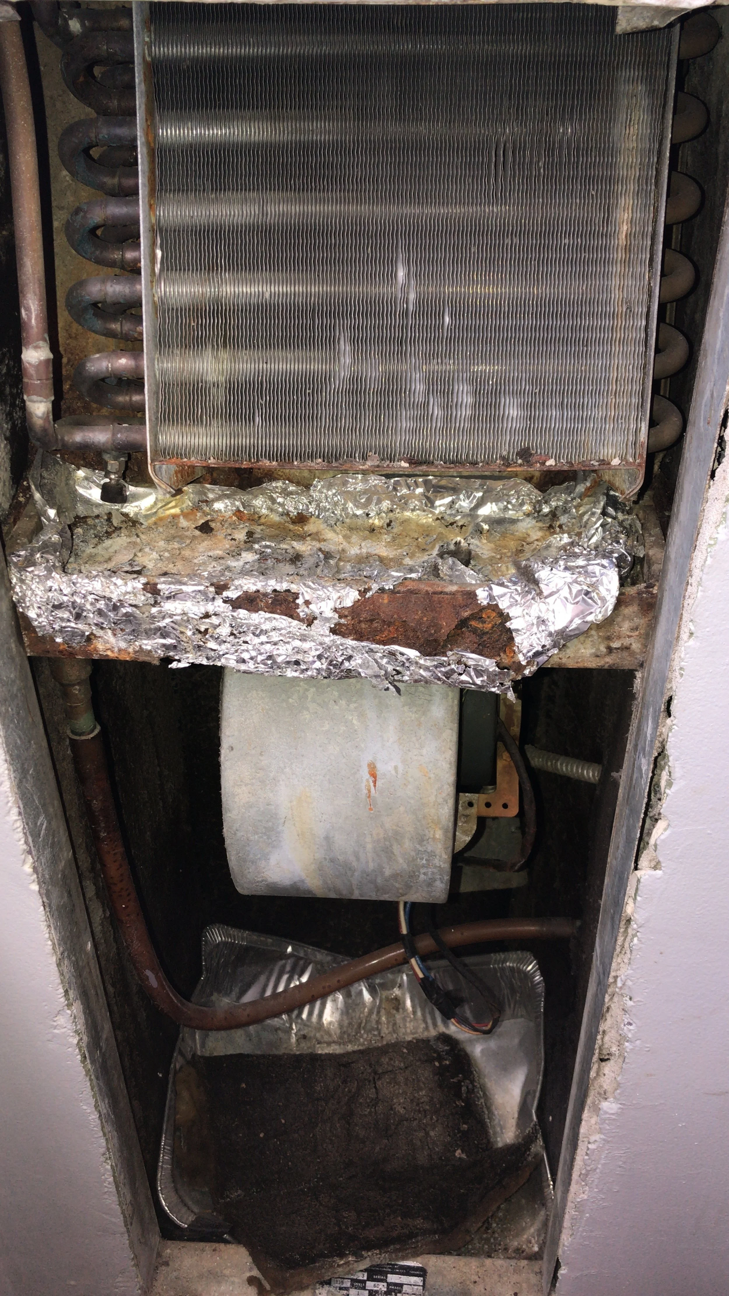 Report FAQ — JPS CANADA Air Systems INC