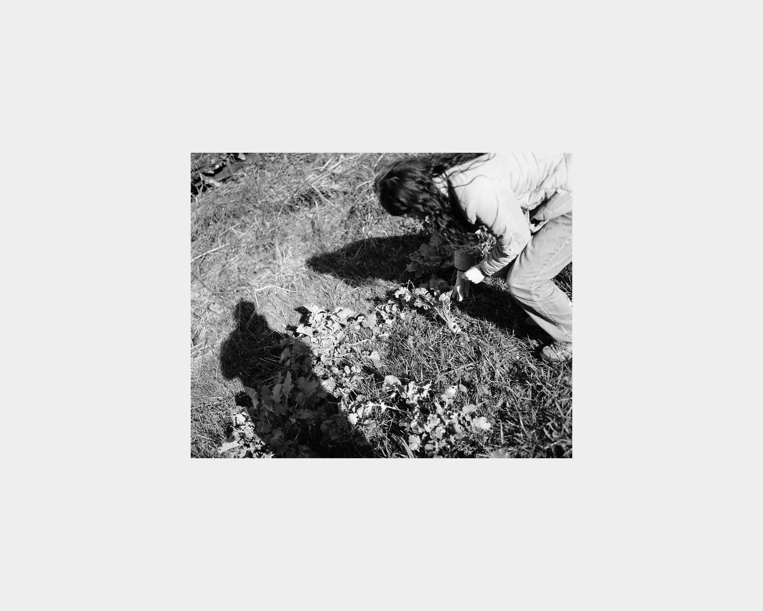 Sam P Cashmore | Artist