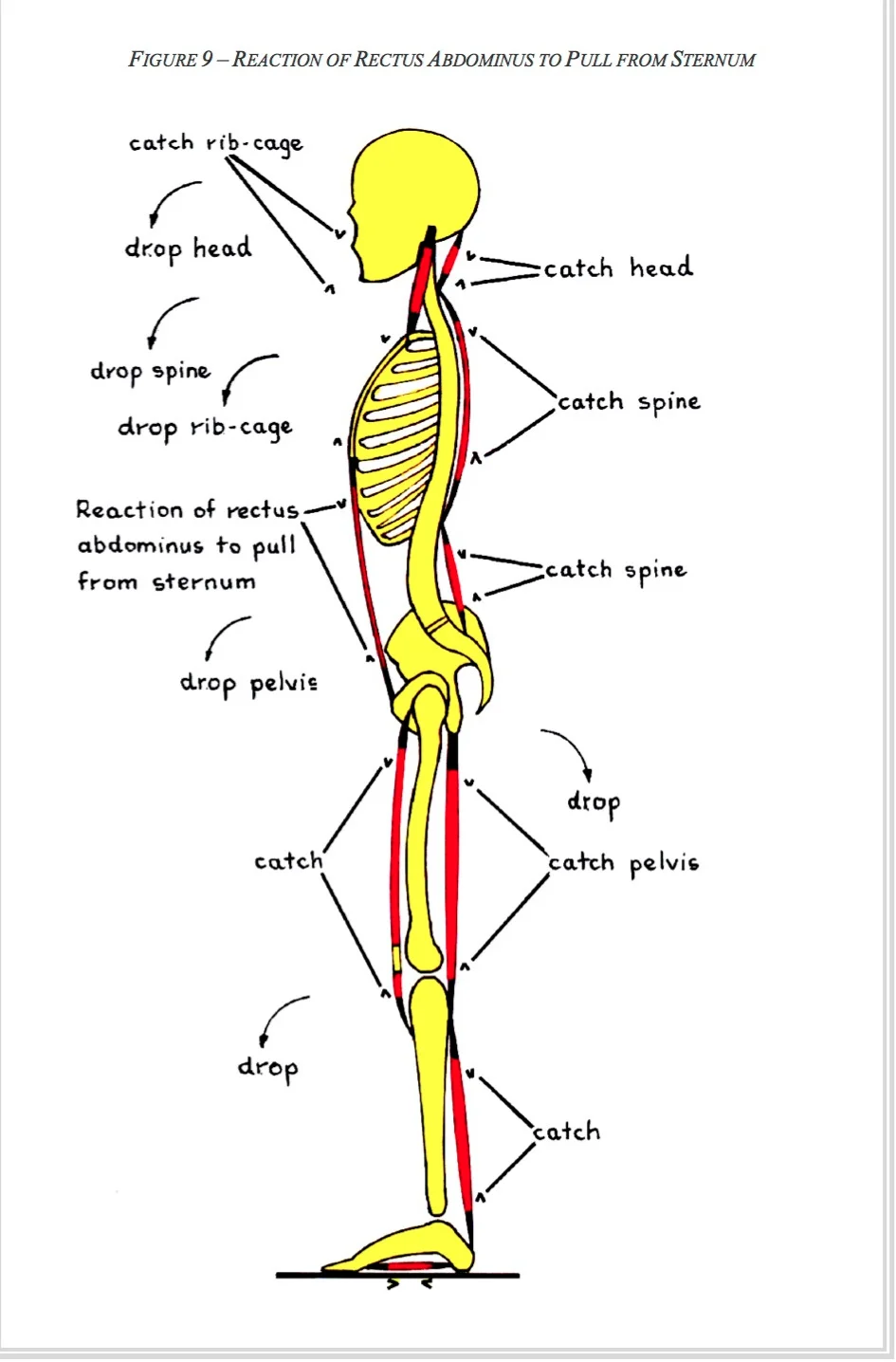 Quadrupedalism List Alien Quadrupedal Concept 8 posed printable models