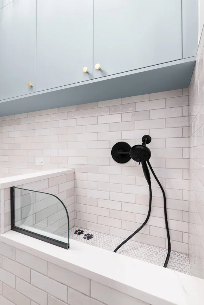 Doggy Spa at Home: How to Design a Luxurious Dog Wash Station in Your ...