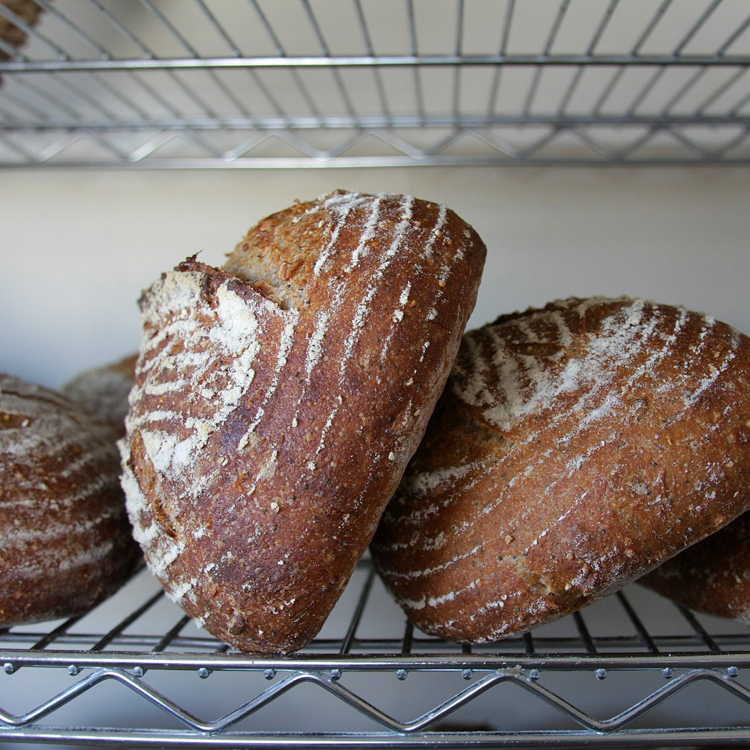 Breads — Sunflower Bakery