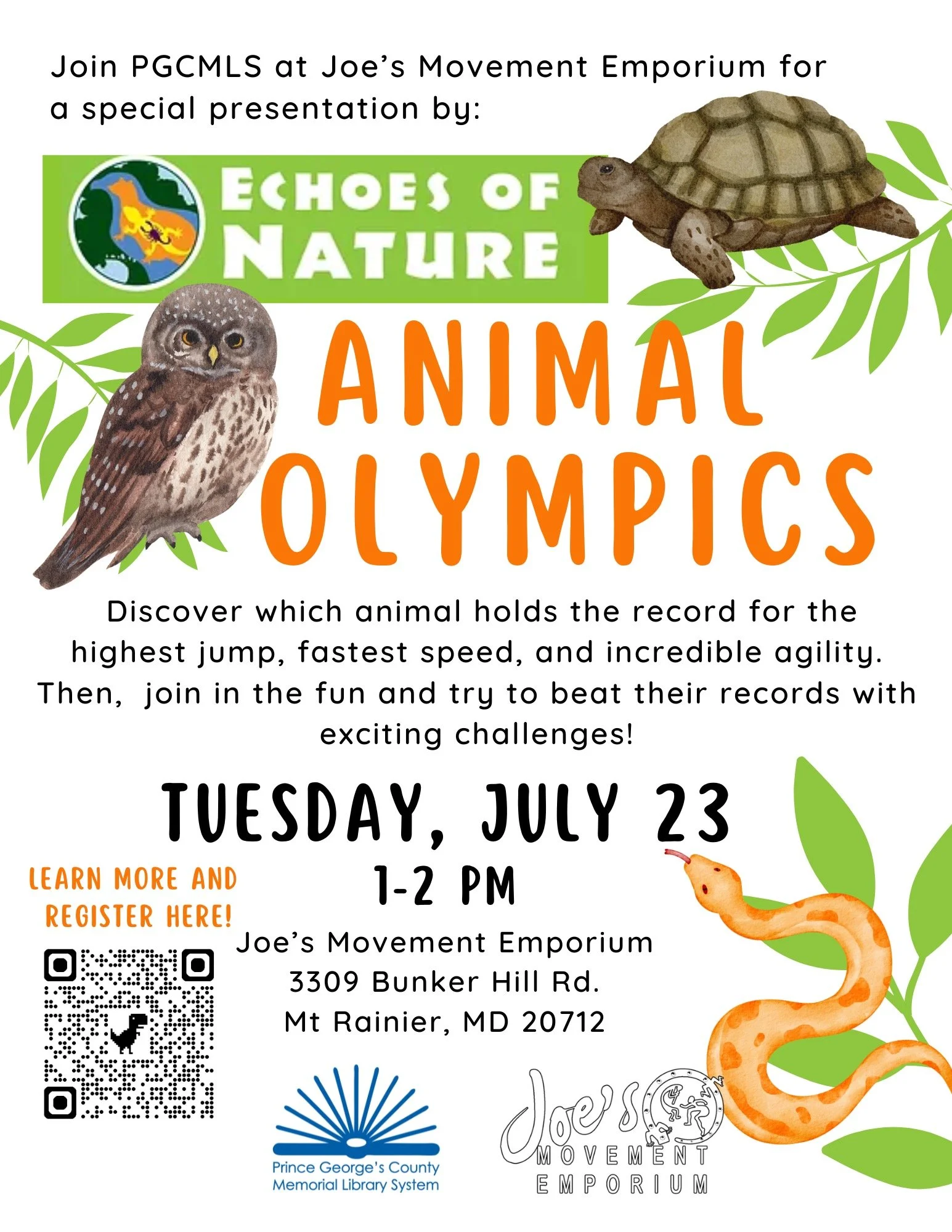 Animal Olympics - Echoes of Nature — Joe's Movement Emporium