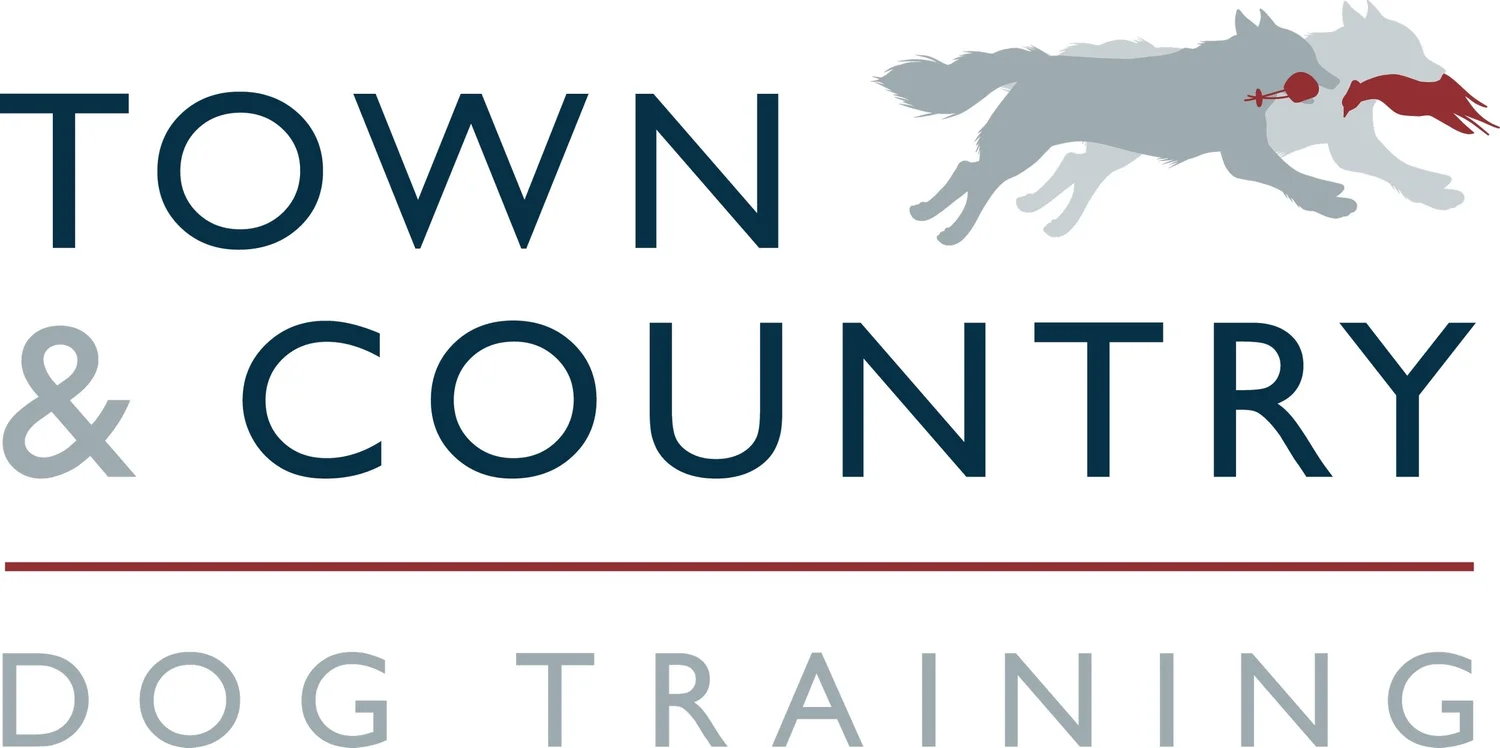 Town & Country Dog Training
