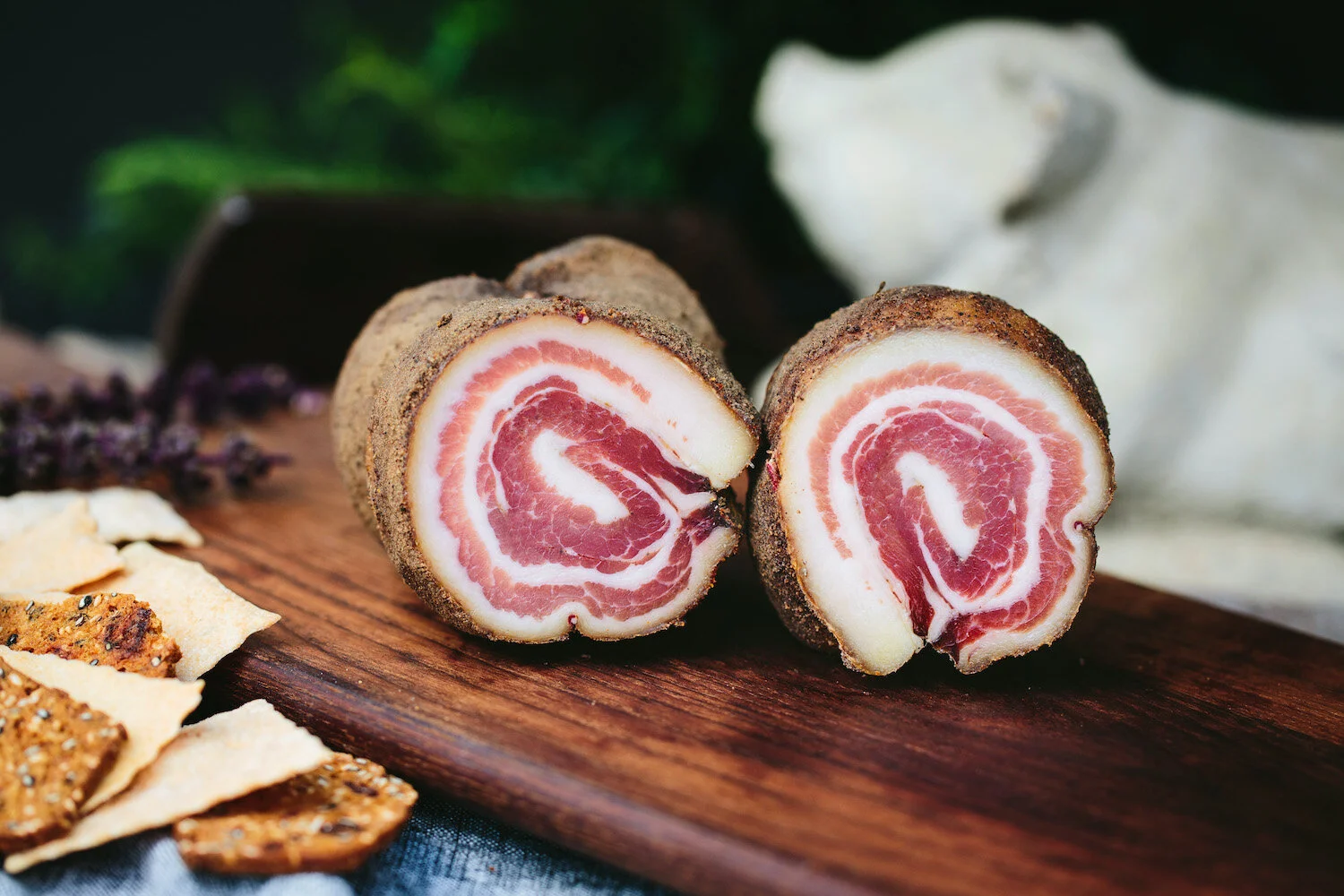 Coppa — The Spotted Trotter