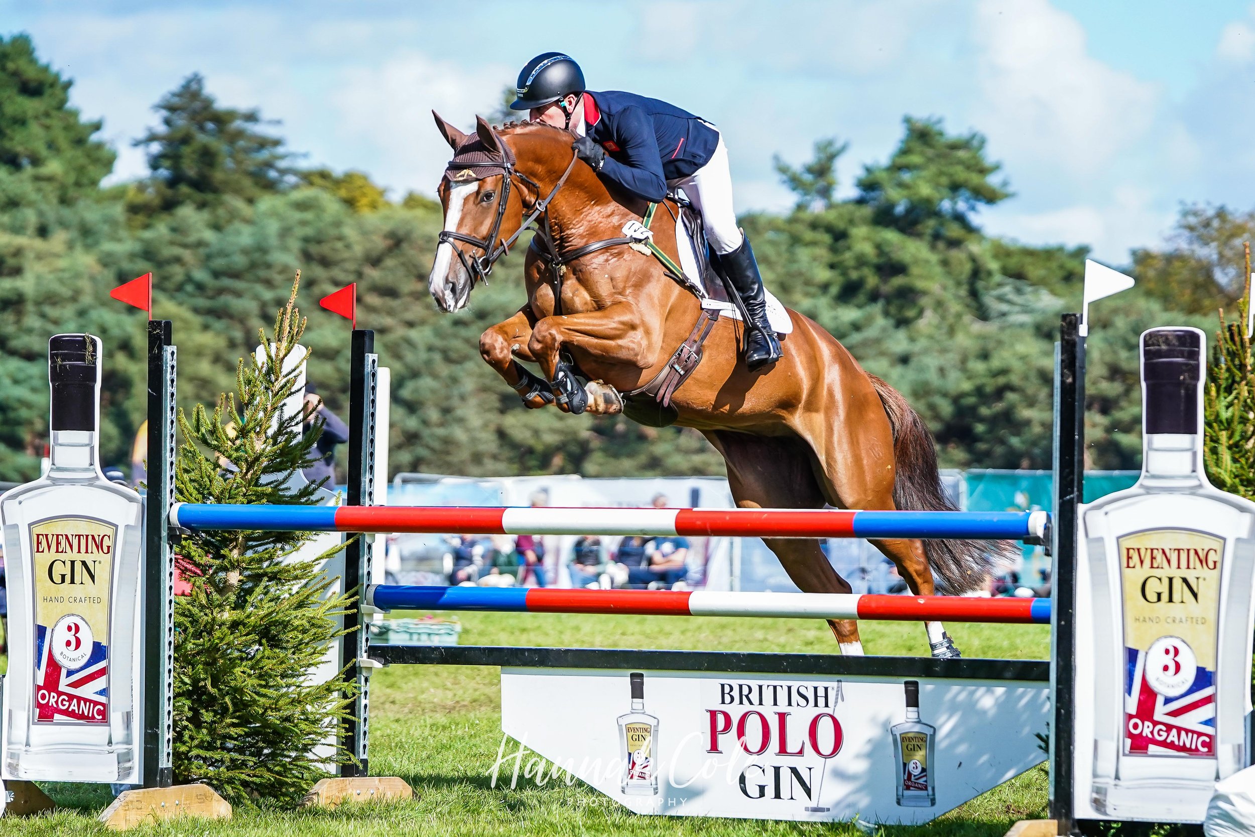 Caunton Mares — CAUNTON MANOR STUD