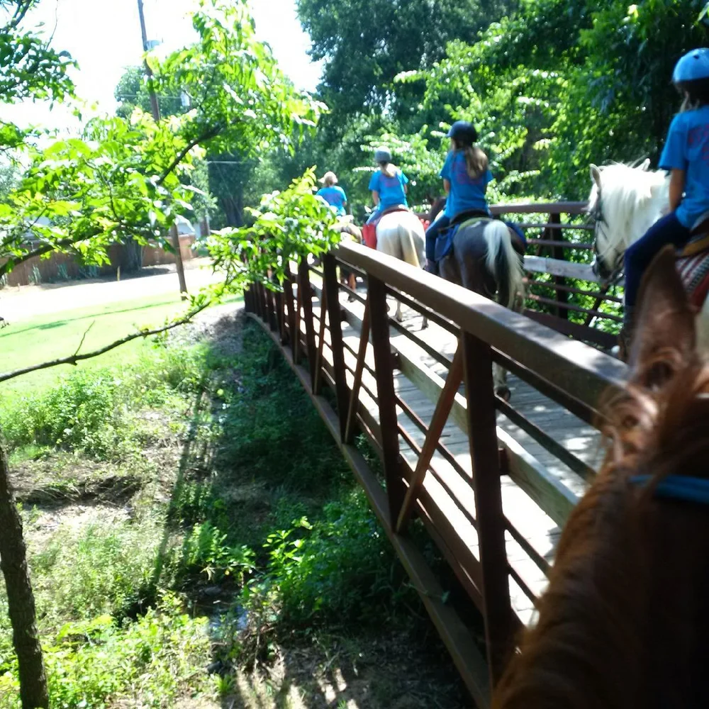 Camp Pricing and Summer Schedule — Agave Hurricane Trail Company