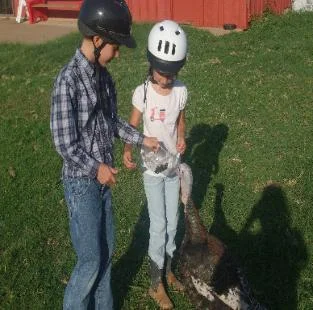 Camp Skill Levels — Agave Hurricane Trail Company