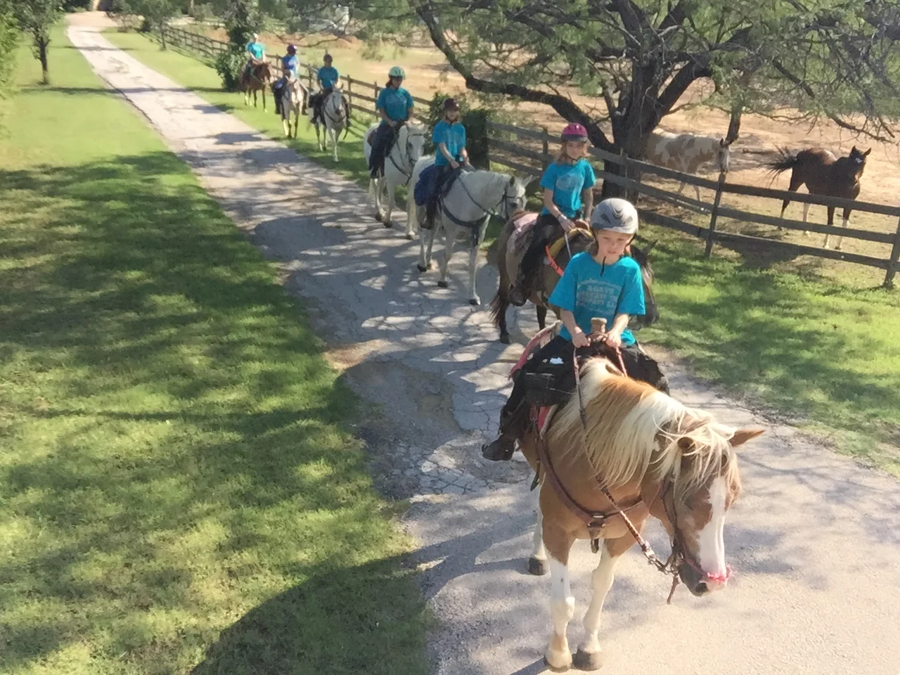 Basic Information — Agave Hurricane Trail Company