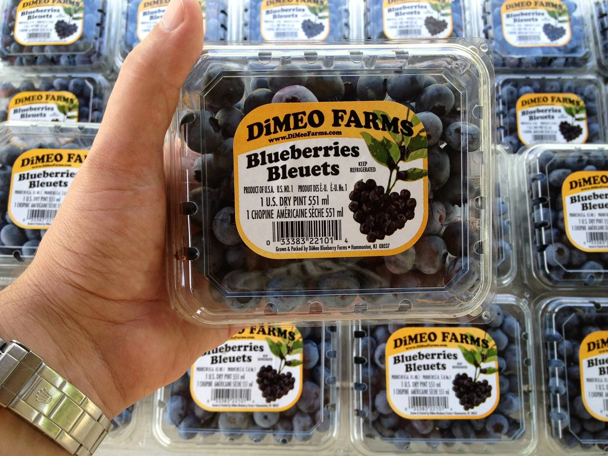 About DiMeo Farms — Blueberry Bushes for Sale - Buy Blueberry Plants