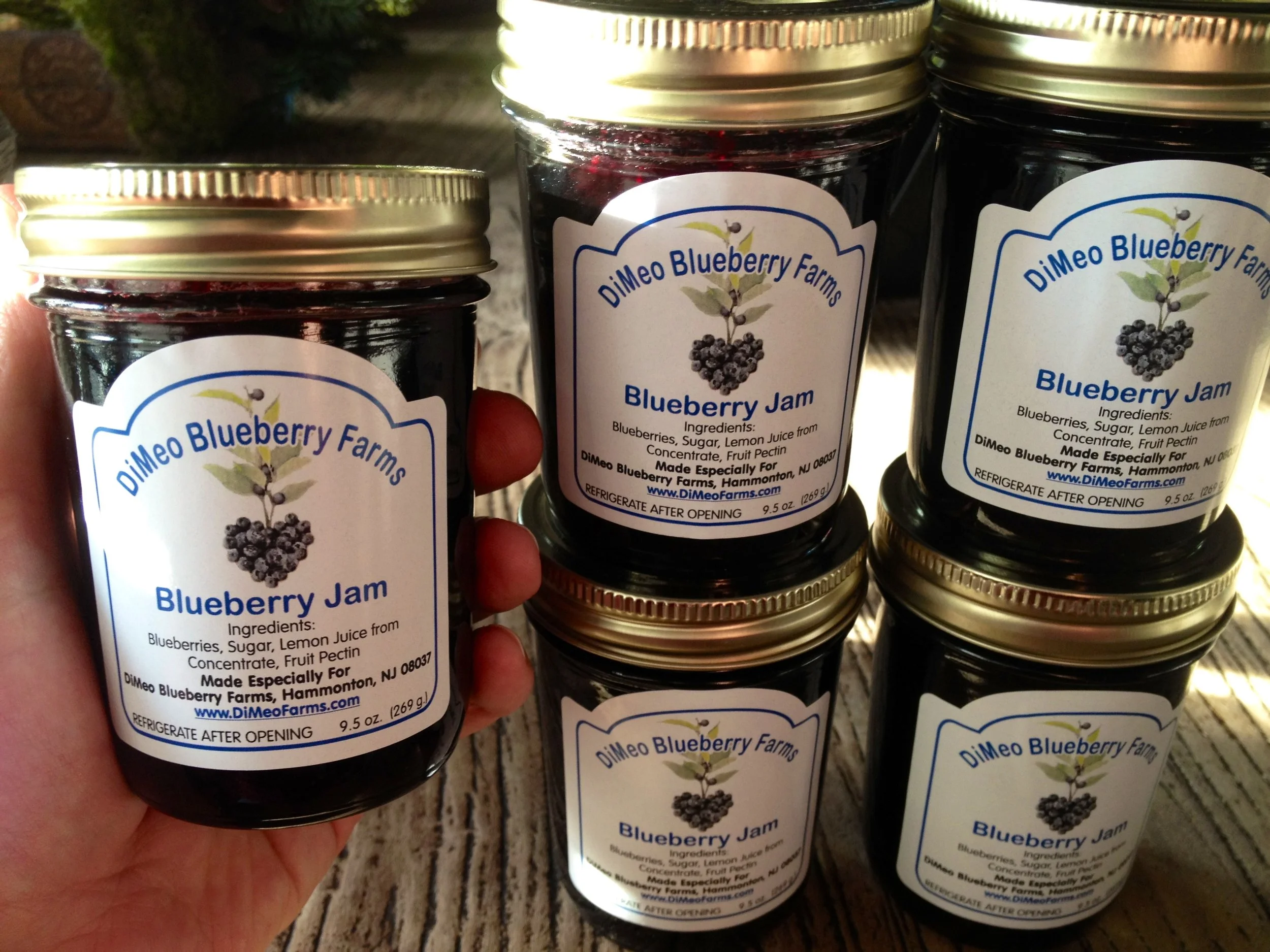 Recipes — Blueberry Plants for Sale - Blueberry Bushes from DiMeo Farms