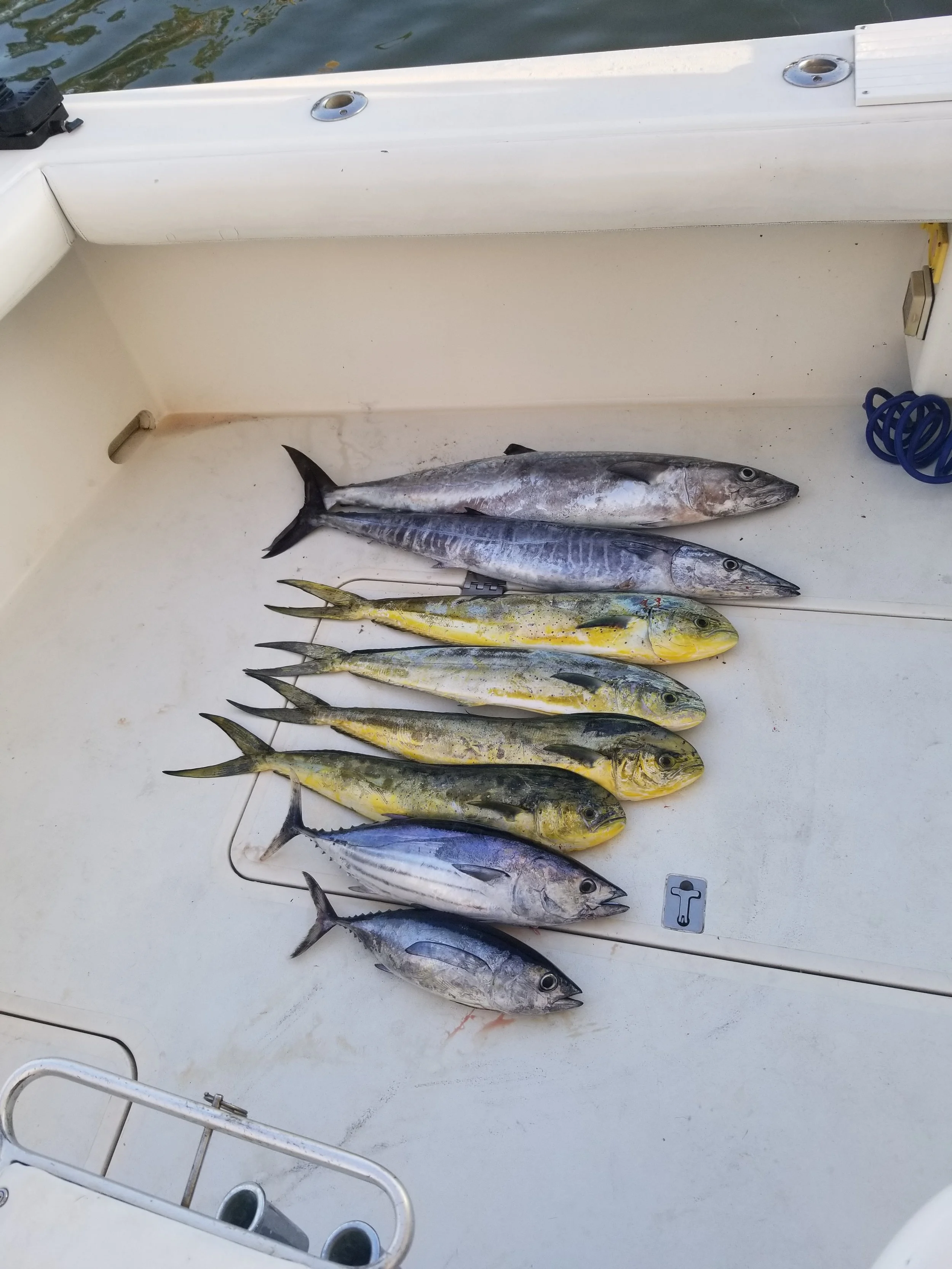 St. John Fishing Charters | St. Thomas | Just Fish St. John