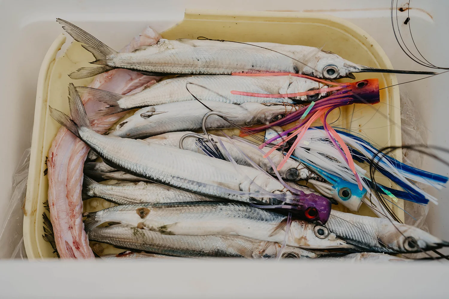 St Thomas Fishing Trips and Rates | Just Fish St. John