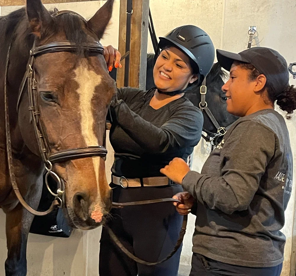 Horseback Riding Lessons — Metropolitan Equestrian
