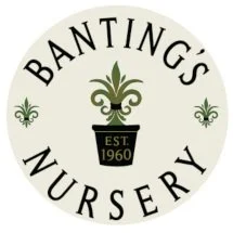 Banting's Nursery