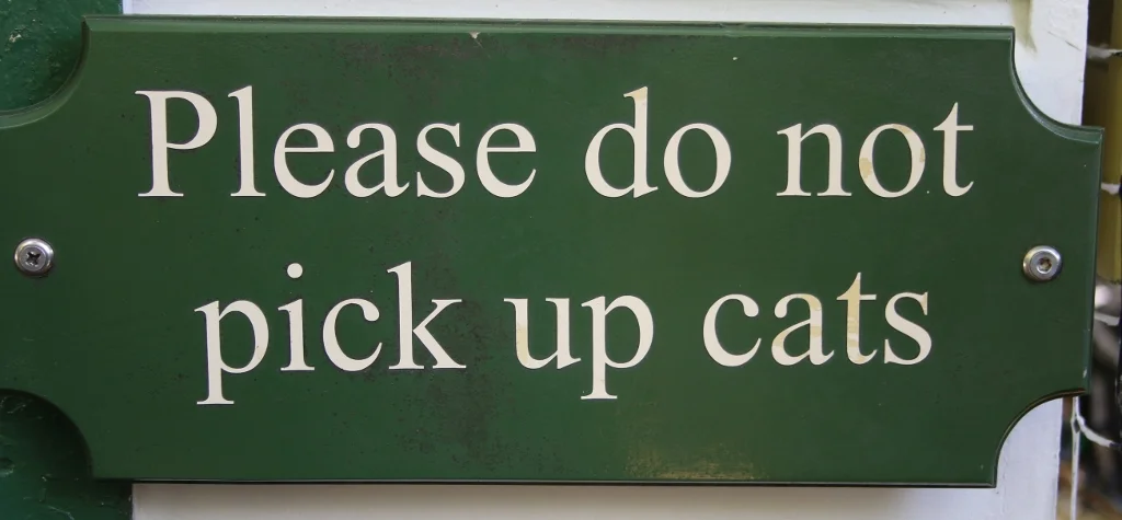 Ernest Hemingway and his Key West Cats — What's Pawsitive