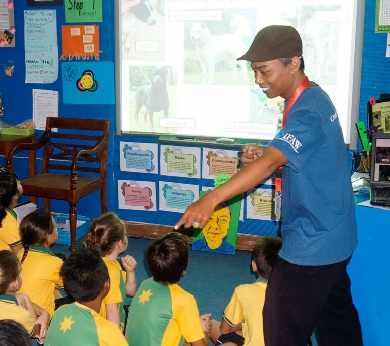 BAWA: Saving the Bali Heritage Dog from Extinction — What's Pawsitive