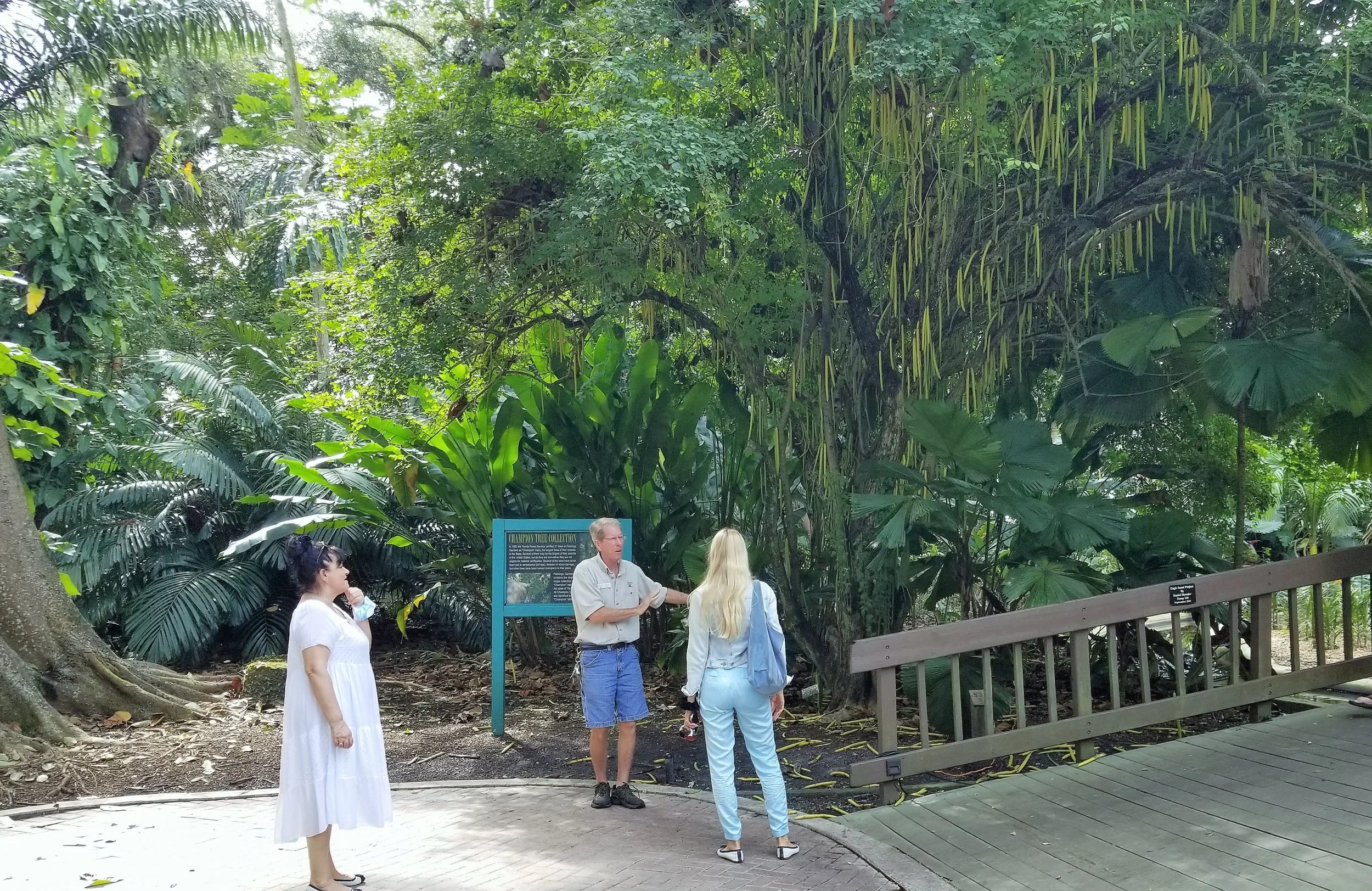 Find Flamboyant, Flummoxing, Fascinating, and Fun Florida Flamingos at ...