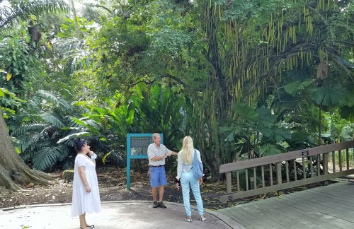 Find Flamboyant, Flummoxing, Fascinating, and Fun Florida Flamingos at ...