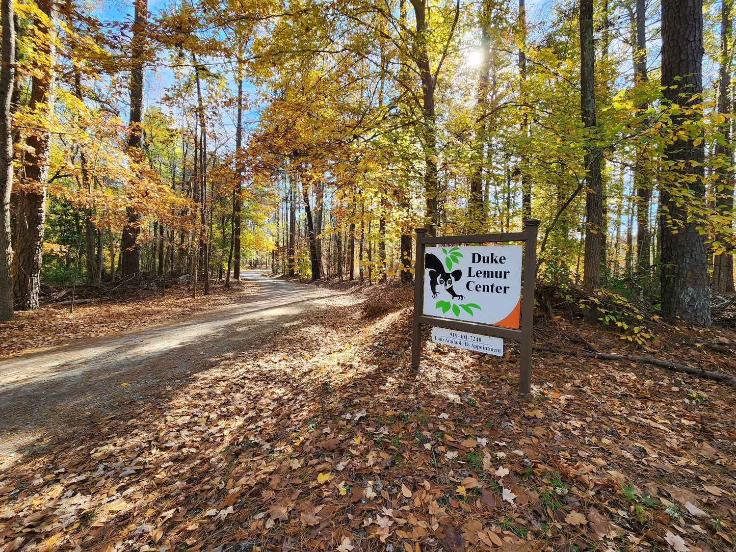 Madagascar is over 9000 miles away...but you don't have to travel that ...