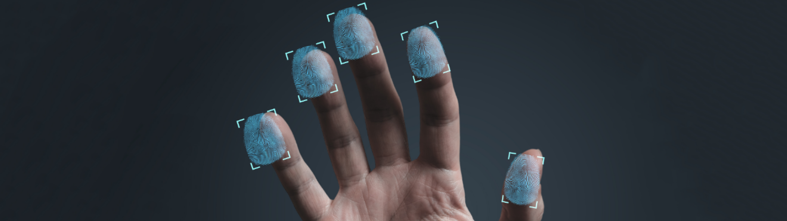 Personnel Vetting, Suitability, Clearance, and Credentialing Efforts ...