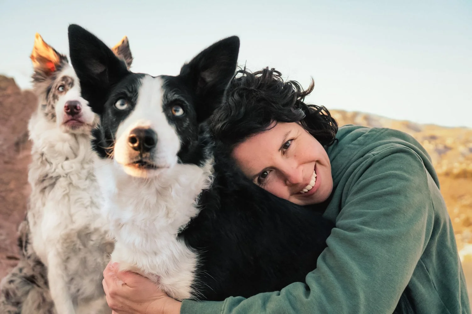 Allison Mae Photography: Denver Pet Photographer