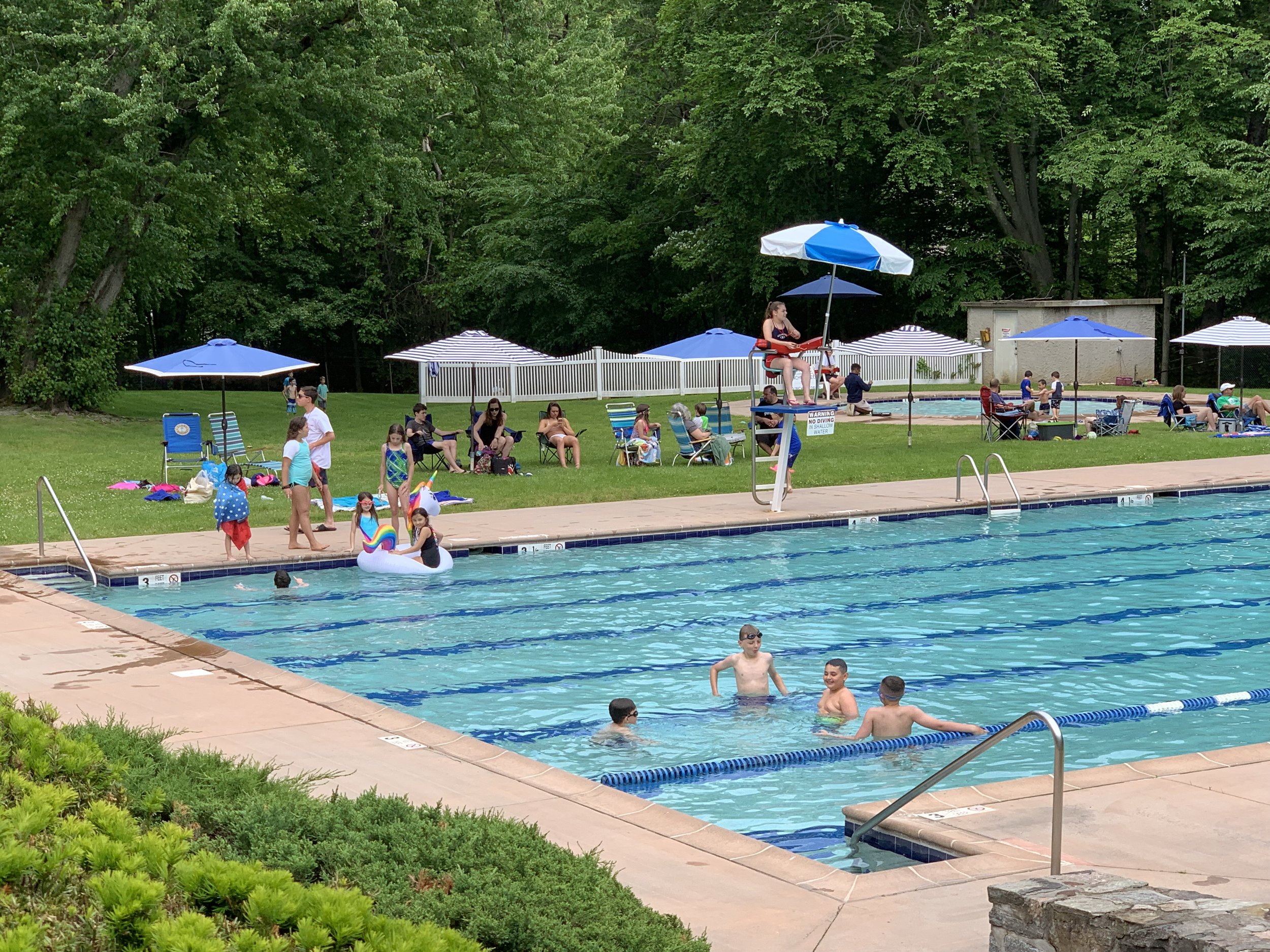 Torview Swim and Tennis Club